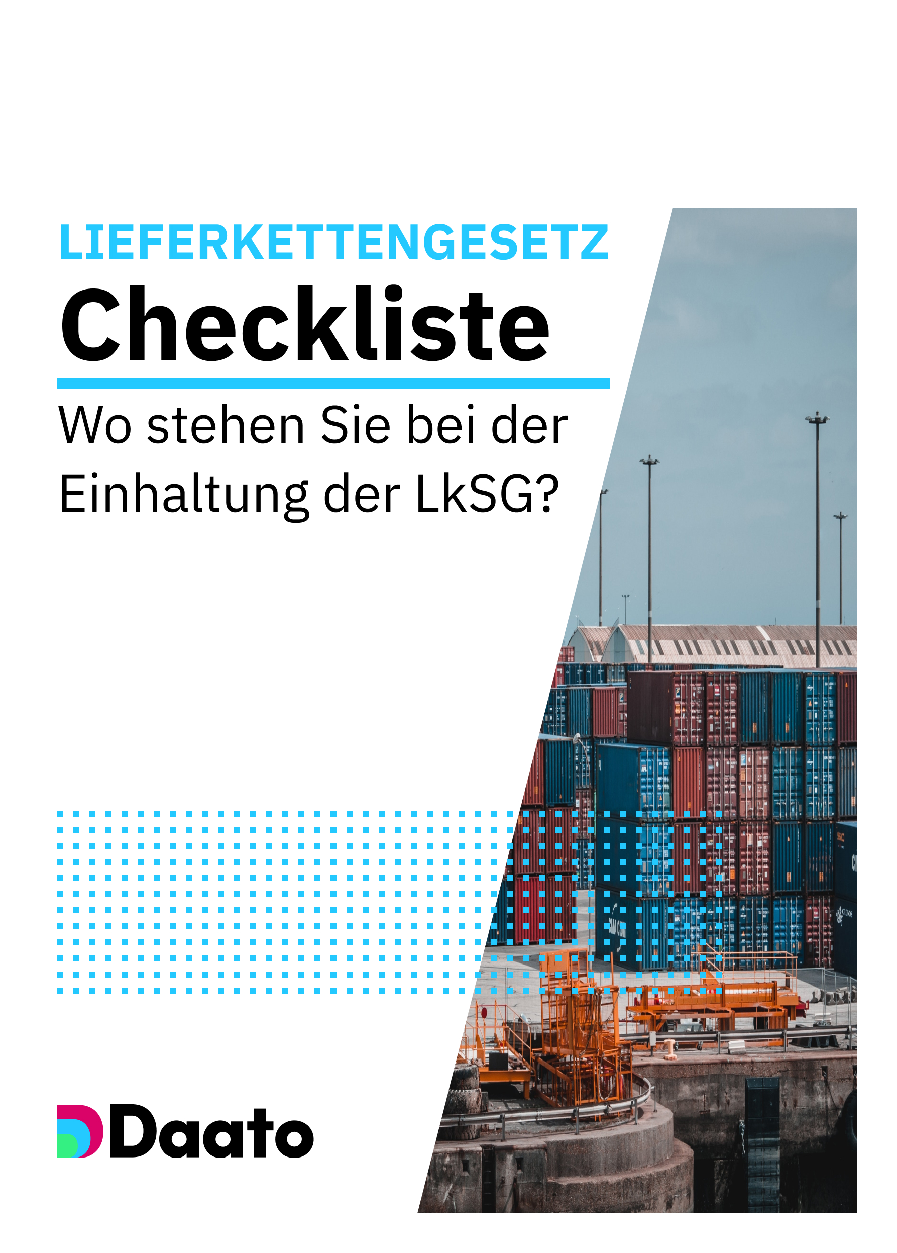Download - LkSG Checkliste