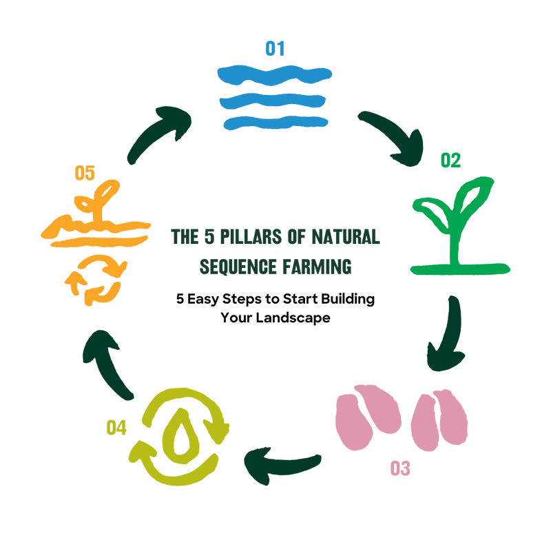 Tarwyn Park Training: The Home of Natural Sequence Farming