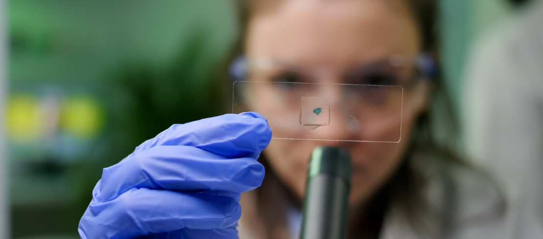 Ensuring the Accuracy of Your Lab Test Results: Tips and Importance of ...