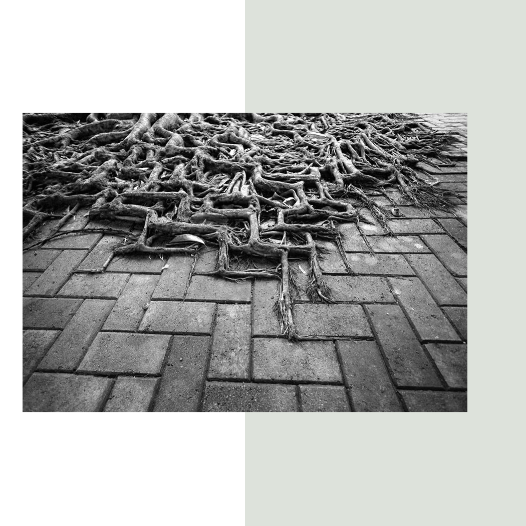 Notre vision - Nova Retail Paris