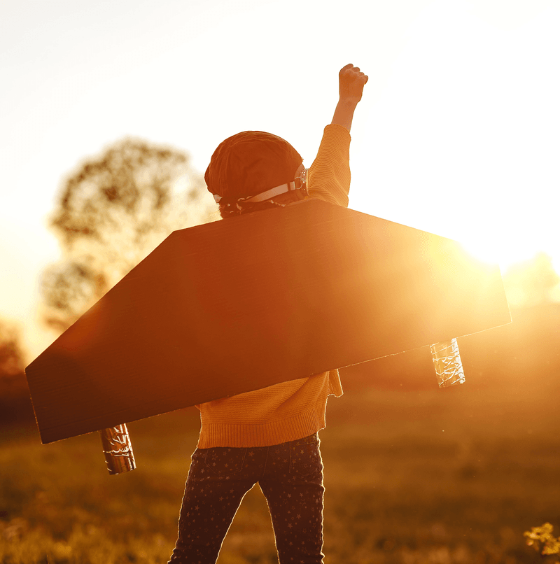 Hybrid Risk Management