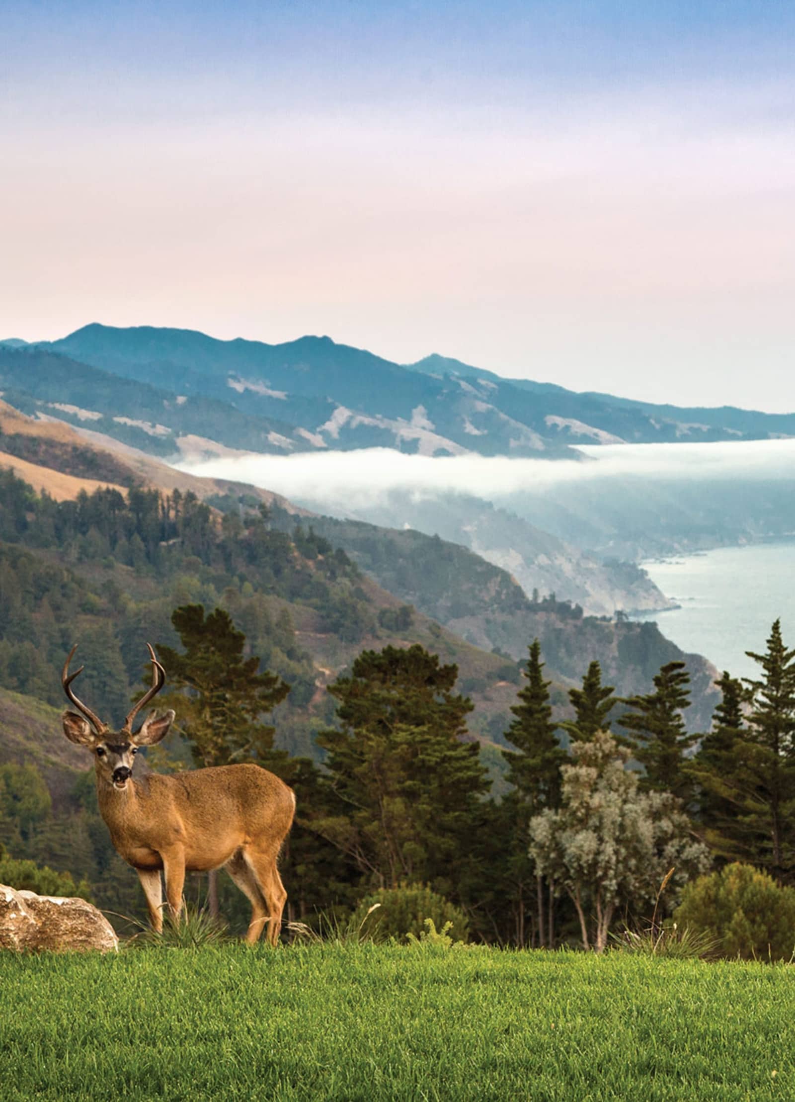 Big Sur Hotels | Post Ranch Inn | Carmel Luxury Resort