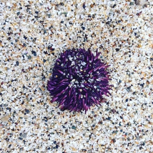 Moore-Annual-Report-2020