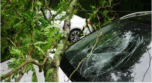 Your Glass Experts — Decker Glass