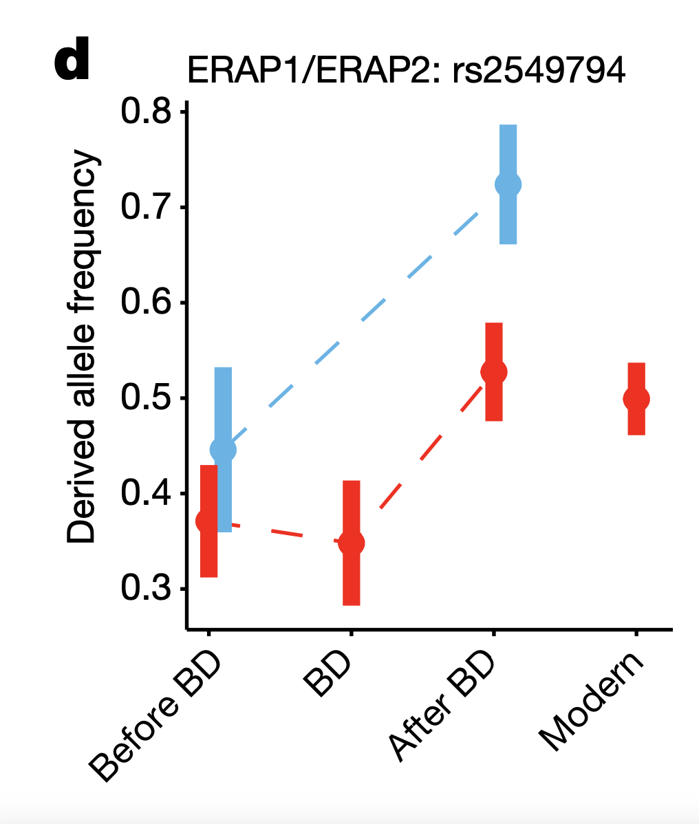 Trait: Plague susceptibility and autoimmunity (ERAP2) | FitnessGenes®