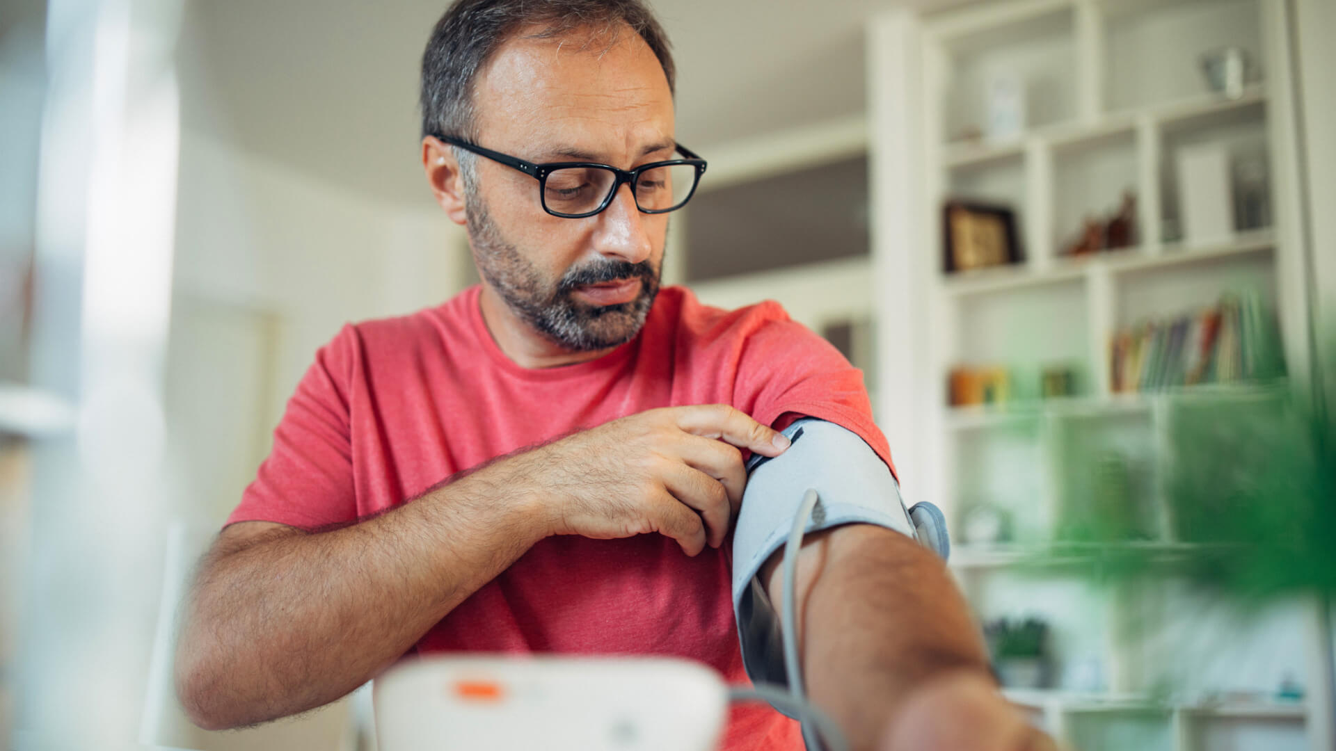 Trait MTHFR And Blood Pressure FitnessGenes 