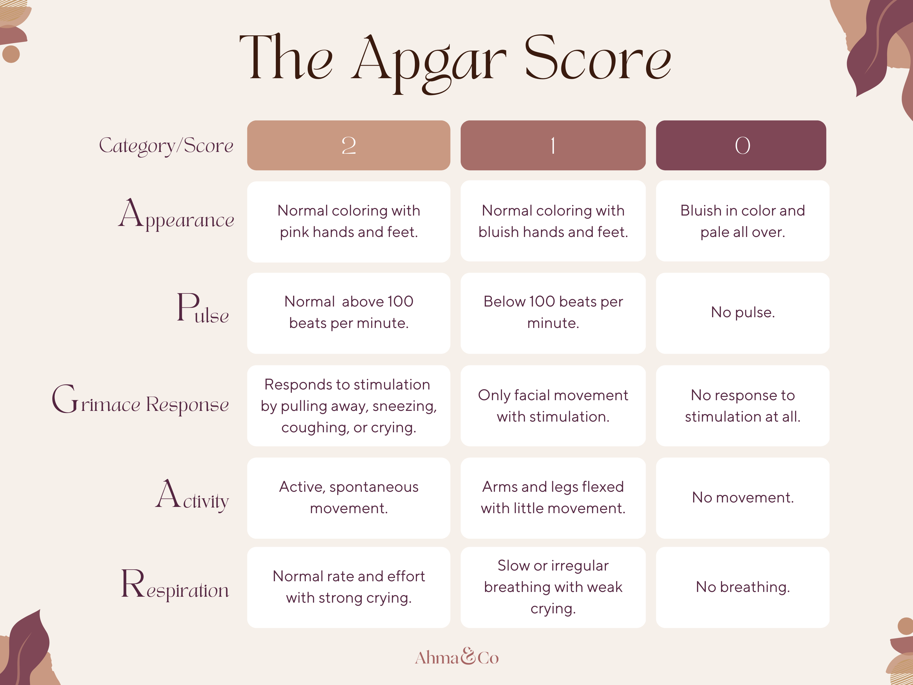 What Happens After Giving Birth? The 24 Hours After Delivery