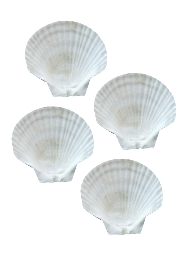 Mendera | Real shell plates 80s/90s