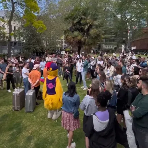 Chicken Rush - Hide & Seek Game