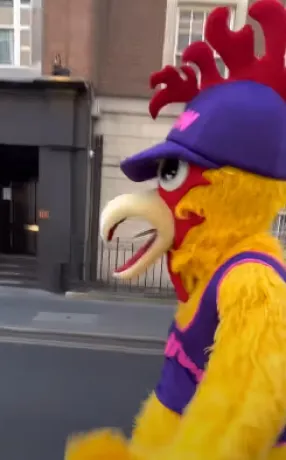 Chicken Rush - Hide & Seek Game