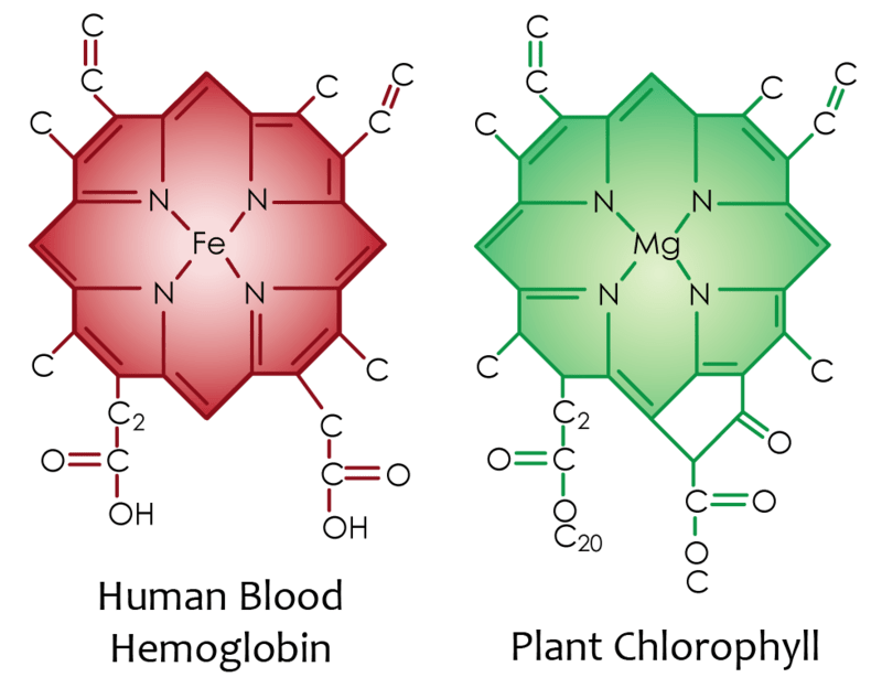 The Ultimate Greens Powder Test