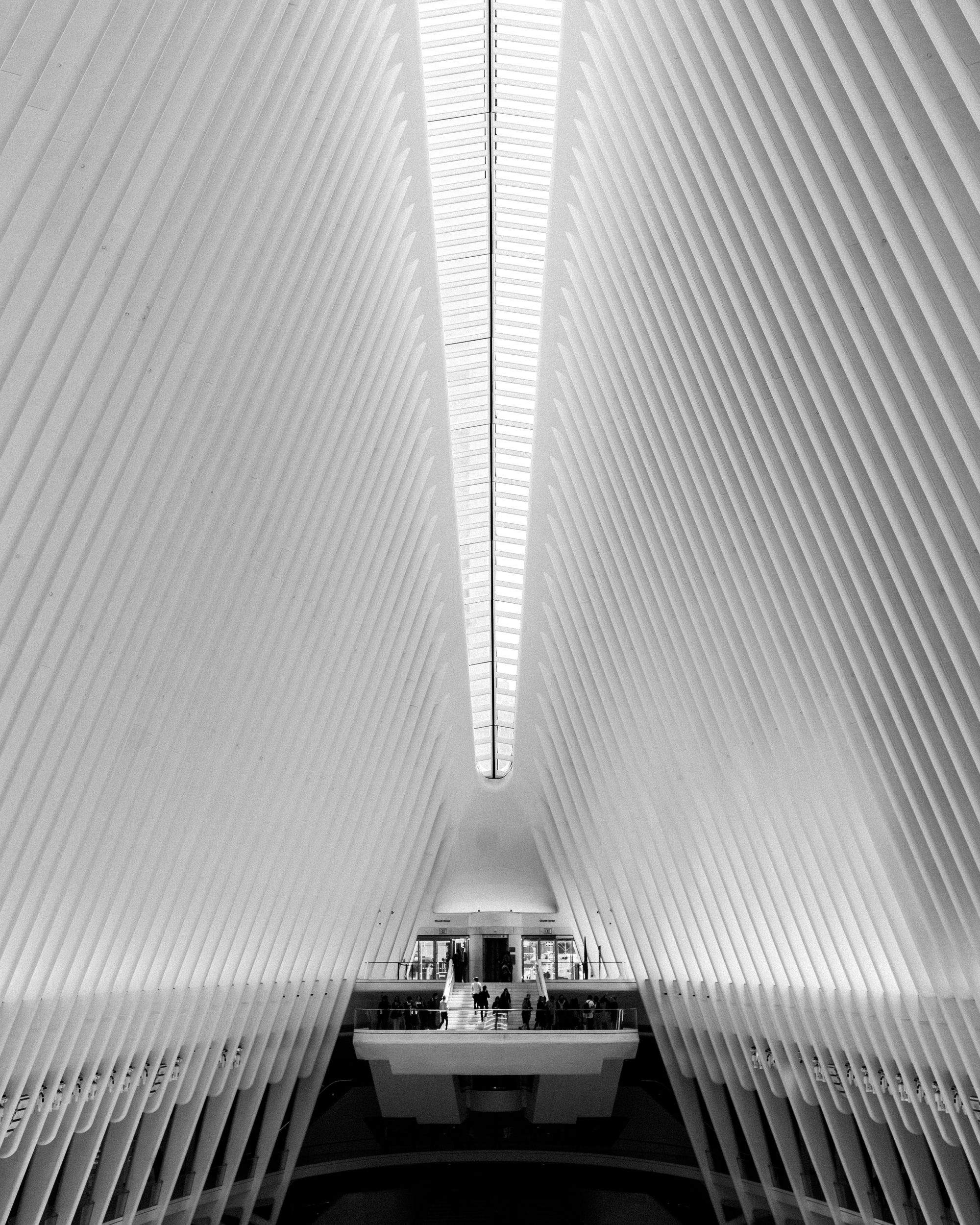 Cooking at Home vs. Eating Out. What’s Better? | Journey Foods