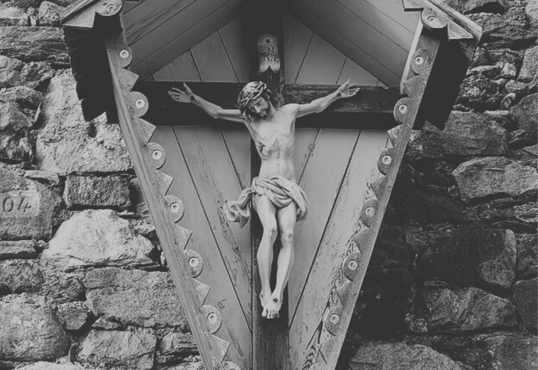 Blog: Updates and Inspiration from the Revival