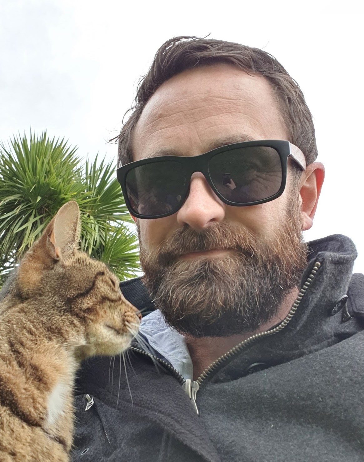 Mergin Maps: Collect, Store and Analyze your Geo-Data