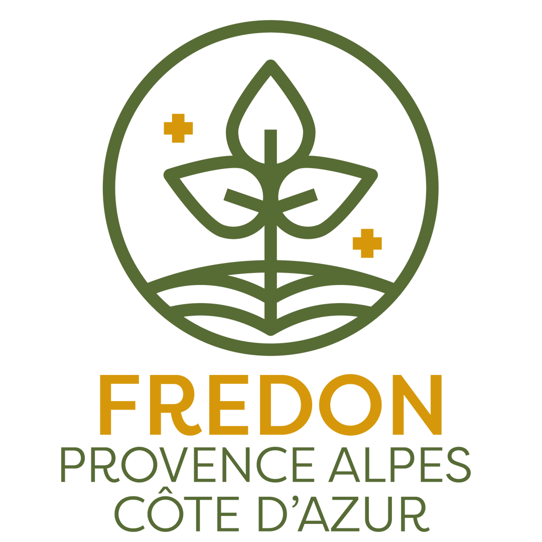 Mergin Maps: Collect, Store and Analyze your Geo-Data Easily