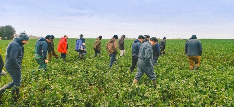 Les différentes formes d'azote