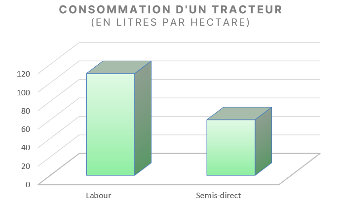 Semis direct : 4 bonnes raisons d’adopter cette technique agricole en 2023