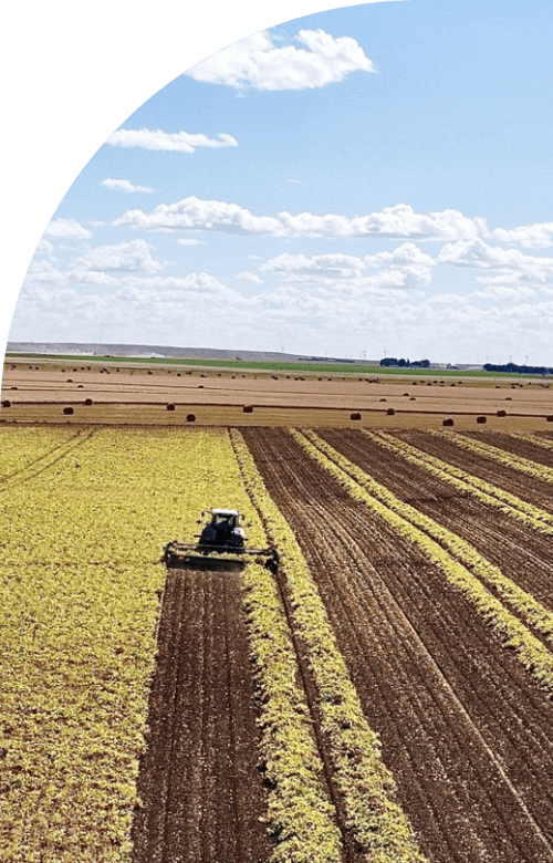 Prairies | Love Canadian Beans