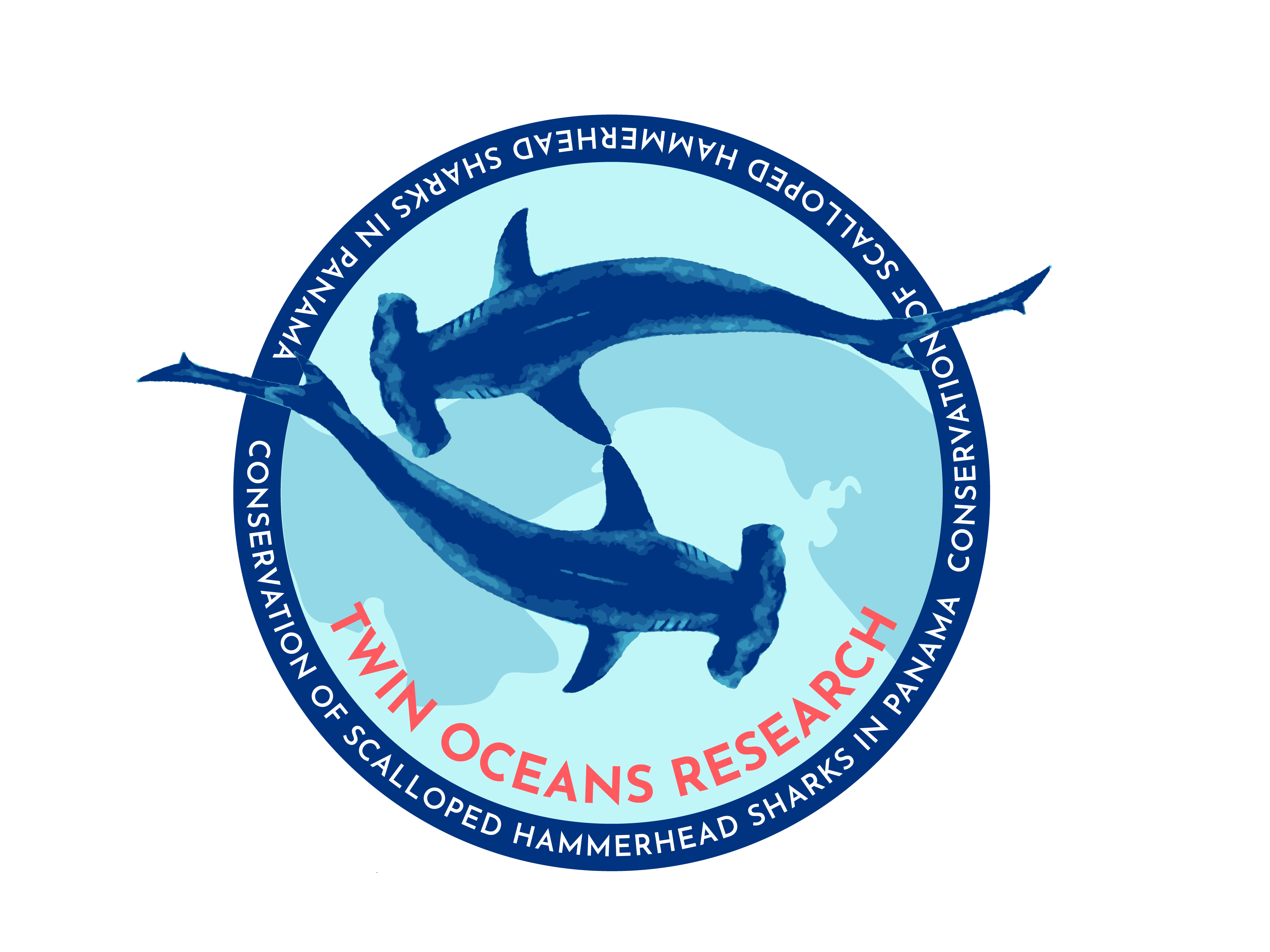 Conservation of Sharks - Twin Ocean Research Panama