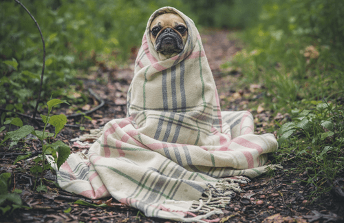 Top 18 Best Renting Sites in the UK | Oasis Living