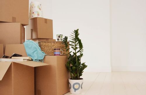 Top 18 Best Renting Sites in the UK | Oasis Living