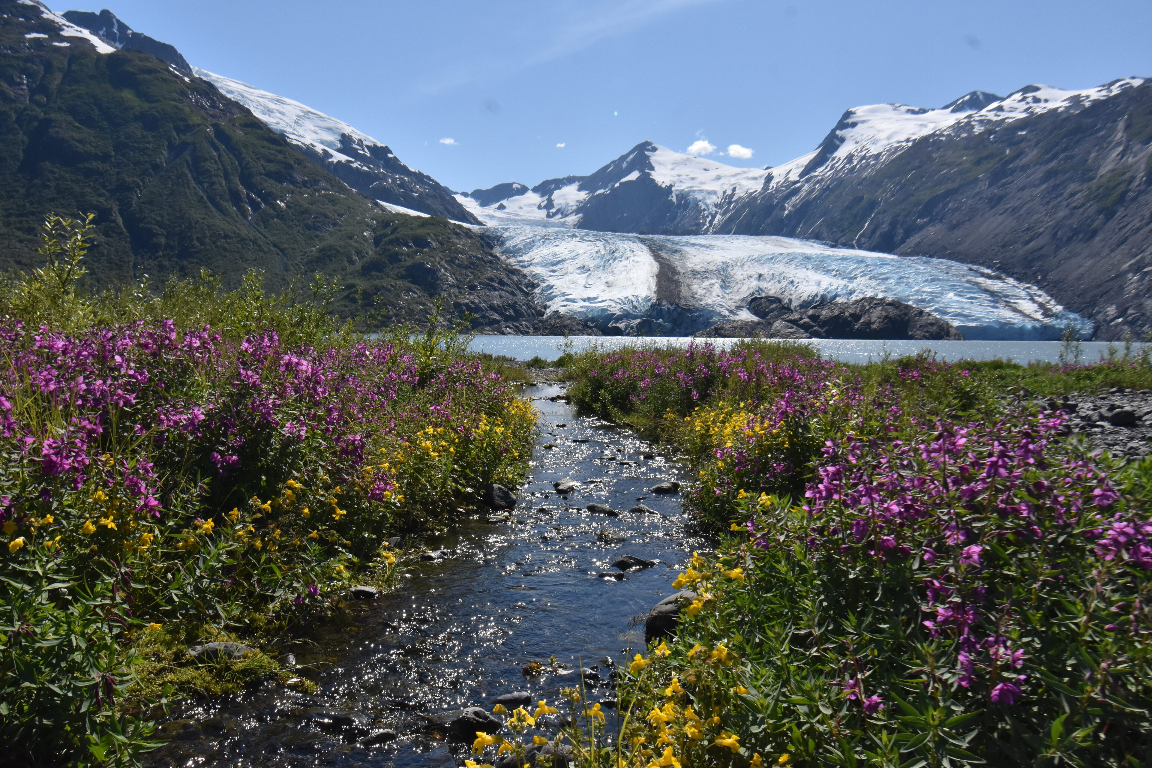 Alaska Hikes