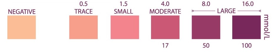 Are You in Nutritional Ketosis or Ketoacidosis - What's the difference?