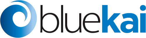 Advertising Made Easy | Brandzooka