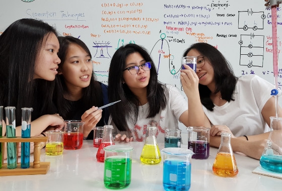 Gallery | Explorer Academy