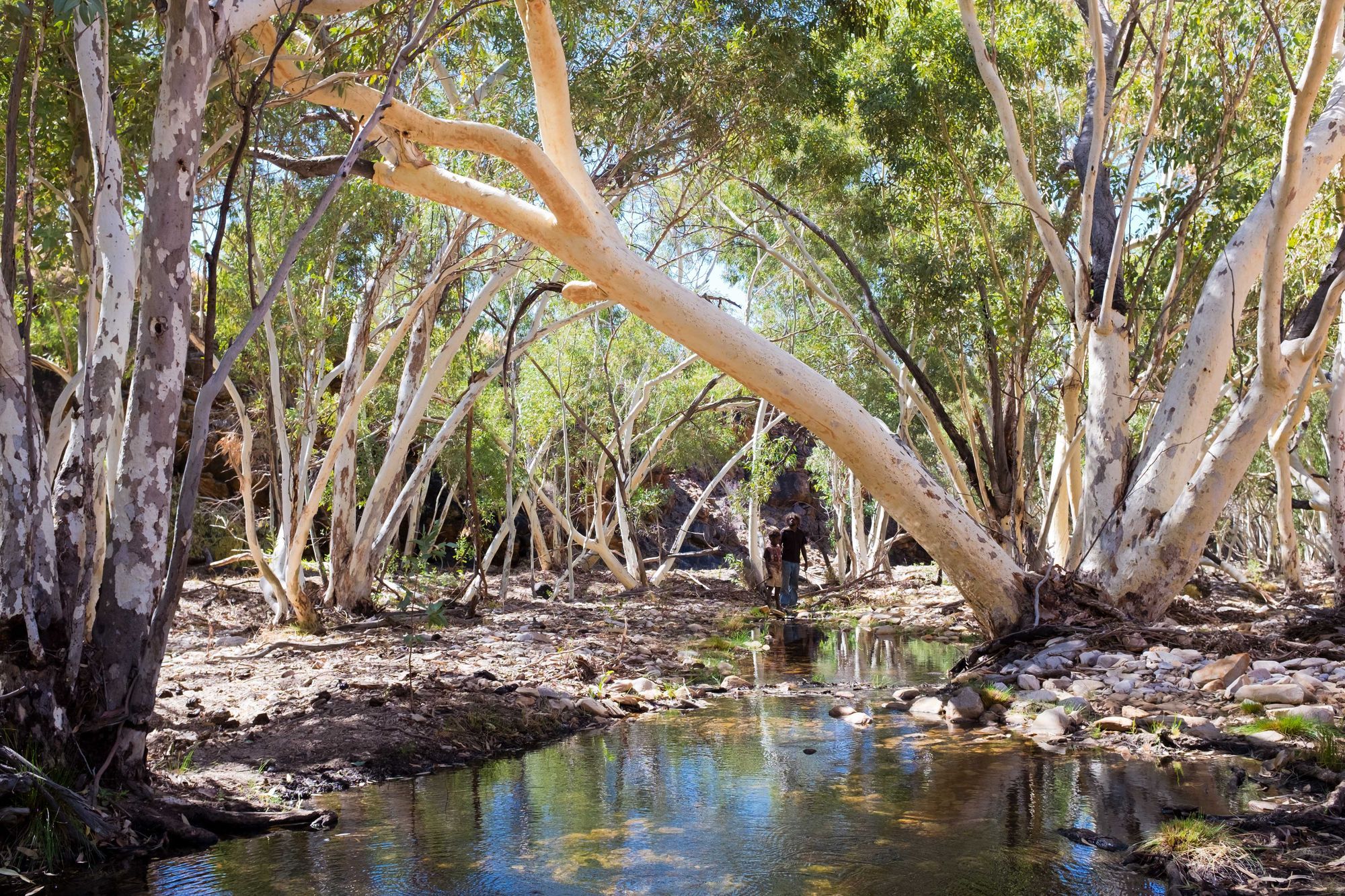 Diverse First Nations Identities | Common Ground