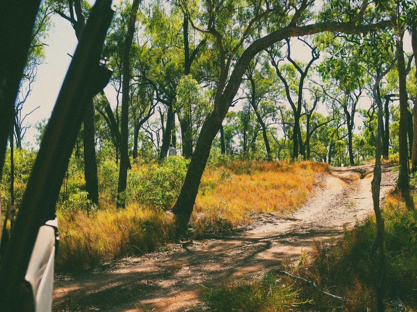 Keeping the Fire Burning: Darcy and Tyberius on Imagining Black ...