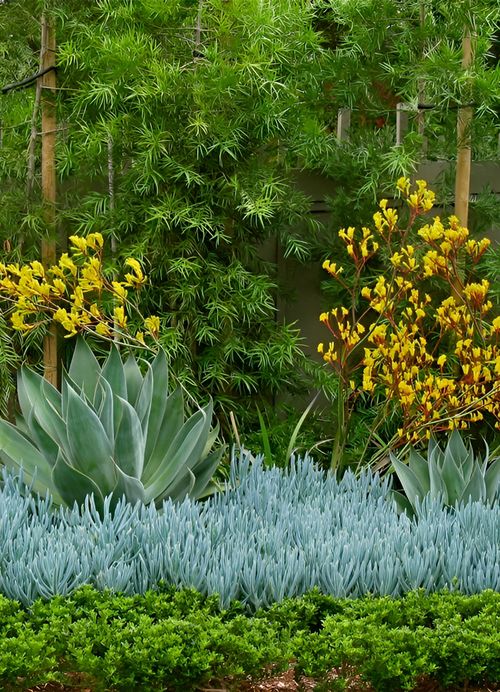 Garden Architecture - Berkeley
