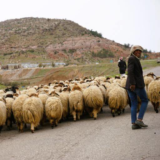 Choking Kurdistan: How oil and gas burning is suffocating minorities in ...