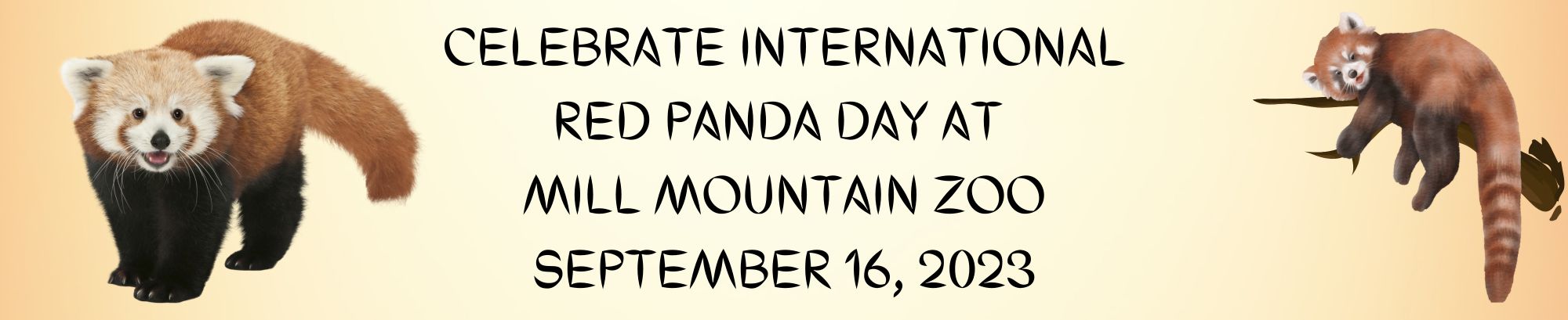 Red Panda Day | Mill Mountain Zoo | Non-Profit Conservation Zoo in ...