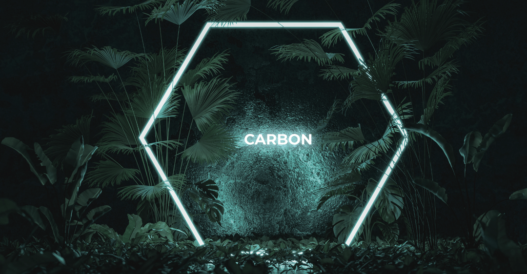 Carbon Explained: All You Need To Know About Carbon Dioxide