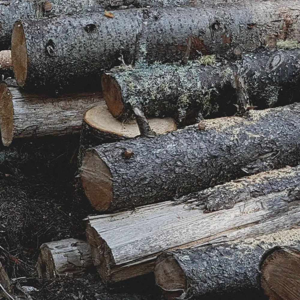 Chalet du Lac Notre-Dame — norditude architecture