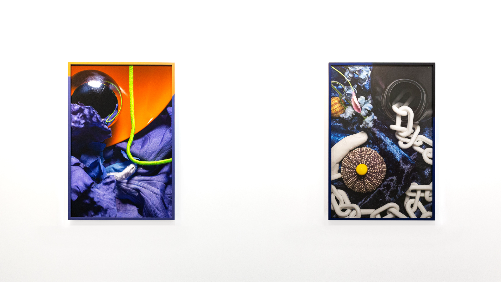 Galerie - Alexis Vanasse