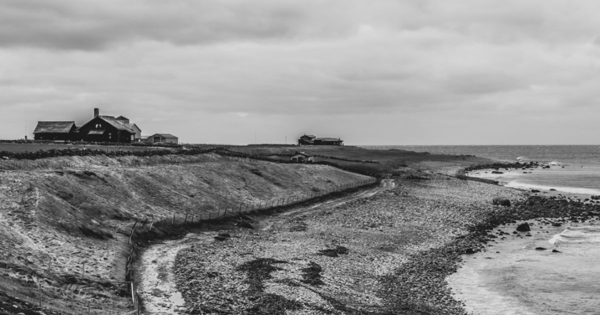 Mazeppa Group | About