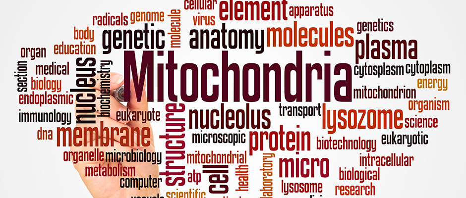 NuroKor Bioelectronics | healthcare technology for the future