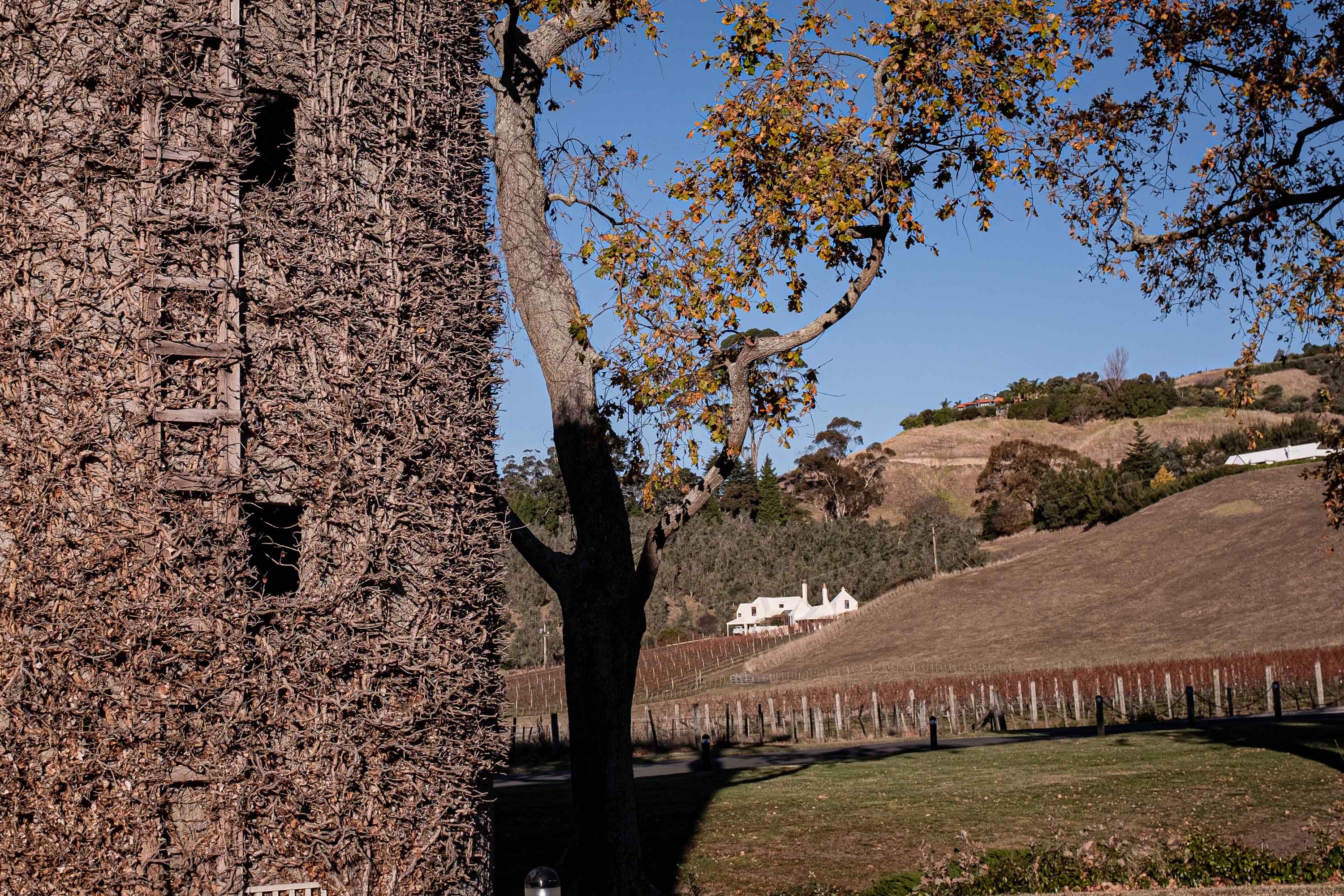Wine architecture: Te Mata Estate Winery, one of New Zealand's oldest ...
