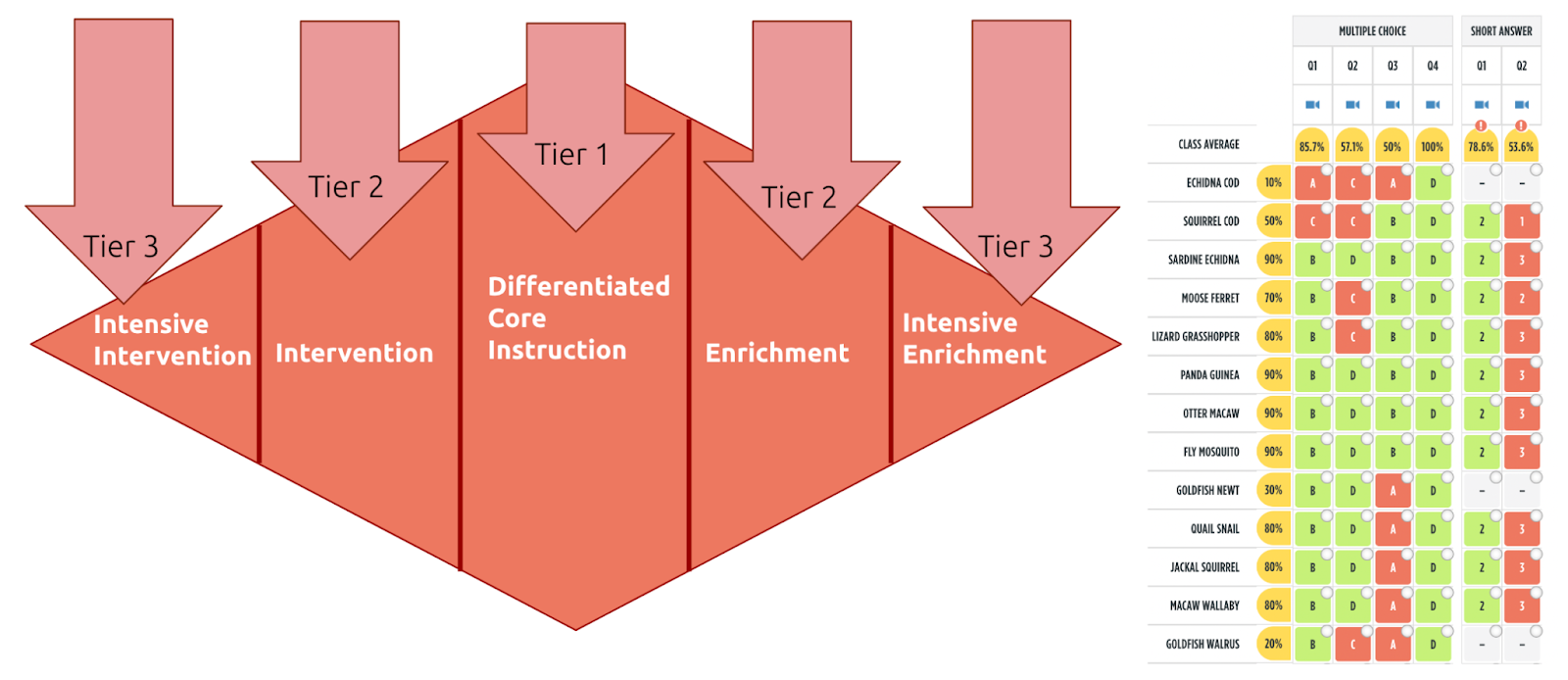 HITS 5: Differentiated teaching