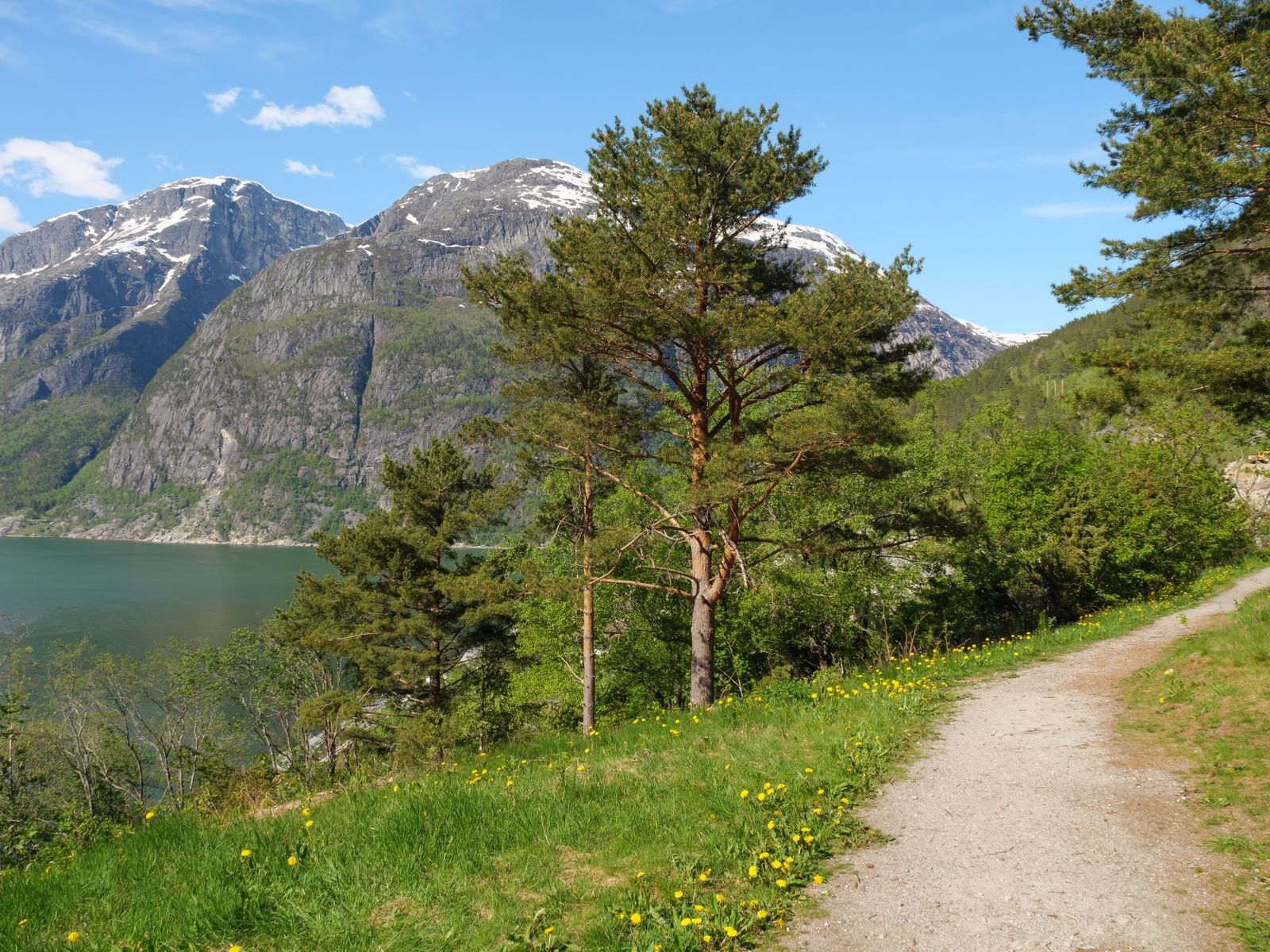 Placepoint - Hva er en reguleringsplan og hvilken funksjon har den?