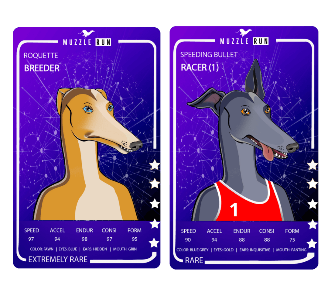 Muzzle Run | Greyhound NFT Racing