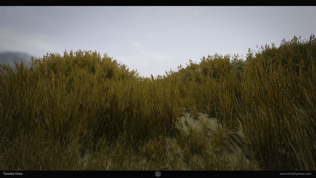 Beyond Extent | Shop