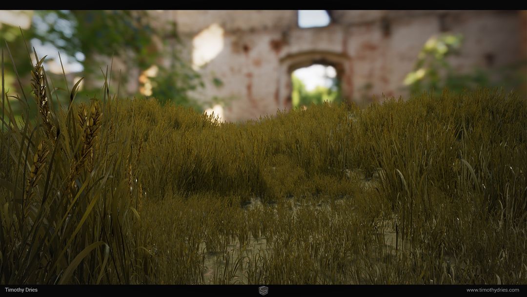 Beyond Extent | Shop