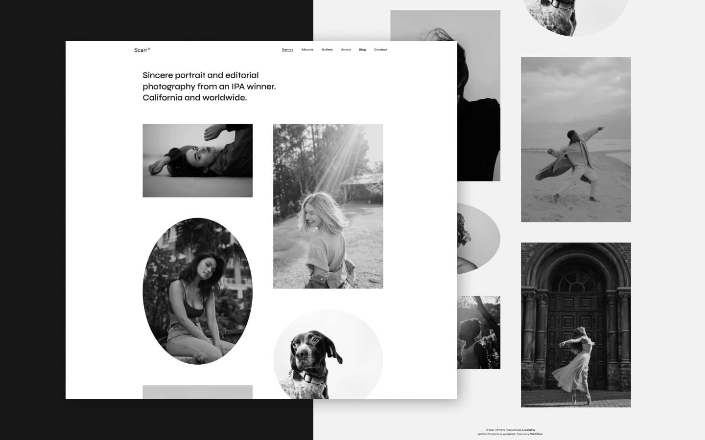 23 Best Photography Webflow Templates In 2023
