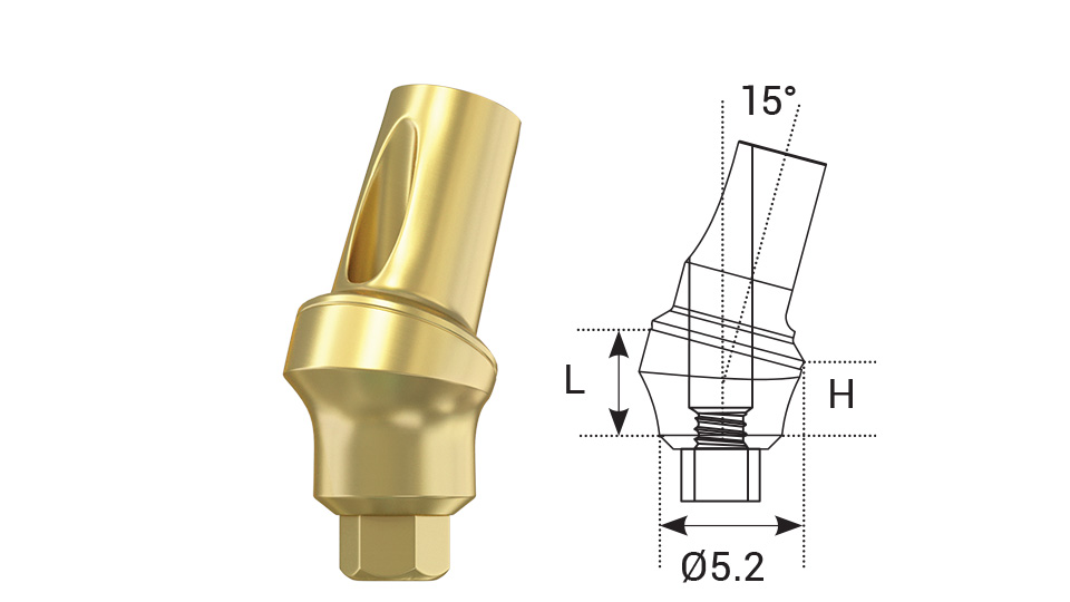 DSI Patented Transfer | DSI Dental Solutions | 2023