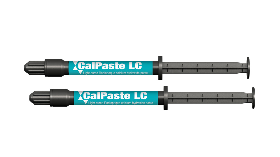 DSI CalPaste LC | Discover Dental Products & Solutions