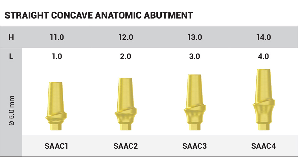 Abutment