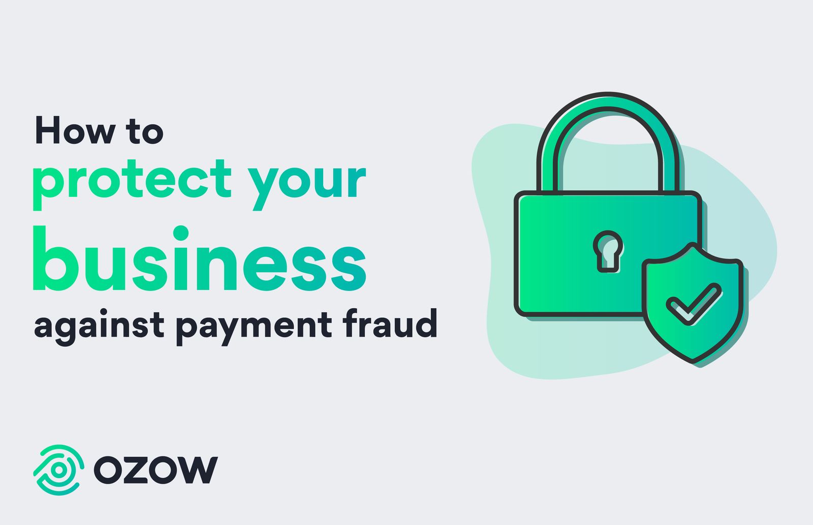 Ozow Fraud Prevention | Ozow Secure Against Payments Fraud